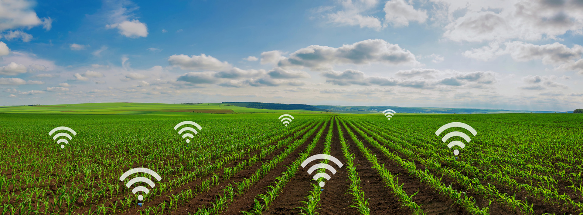 Monitoraggio ambientale - Polis-Net